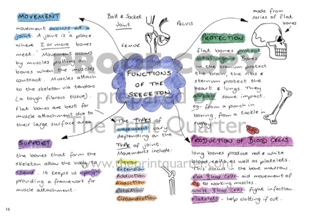 WJEC/Eduqas GCSE PE WJEC/Eduqas GCSE PE